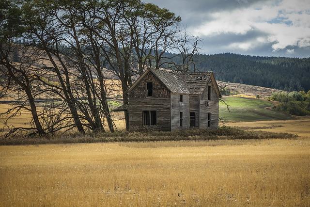 Homesteading In Canada: Opportunities North Of The Border ...