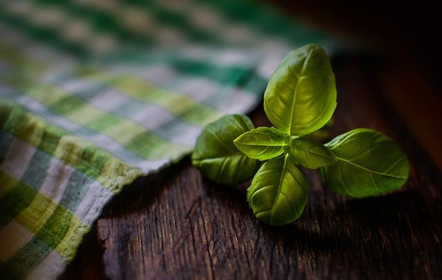 Herbs for Fatigue: Boost Your Energy Naturally - TheNaturalLivingSite.com